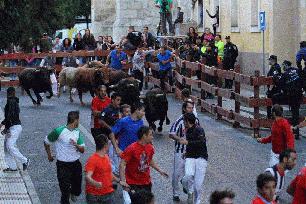 “Guadalajara recupera su alma taurina: el nuevo recorrido de los ...